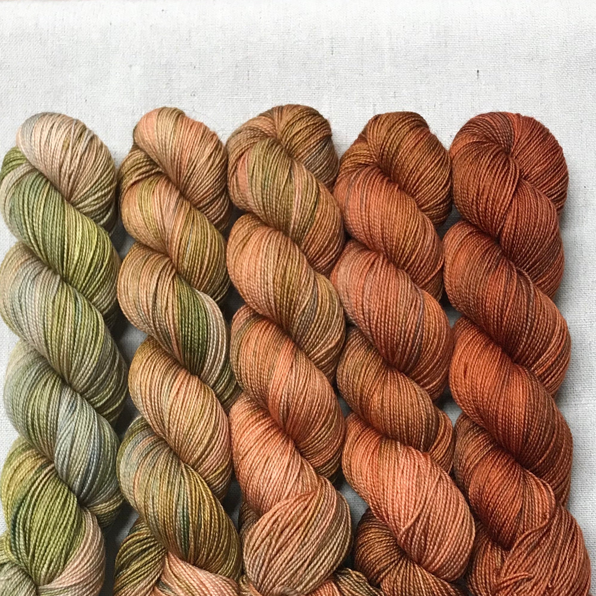 Framed - Sample Kits – The Fibre Studio at Yarns to Dye For