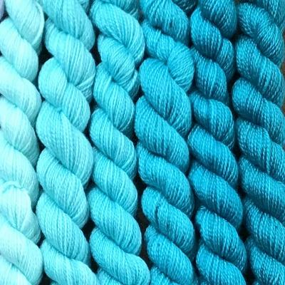 6/1 Neptune - Mini Skein Kits – The Fibre Studio at Yarns to Dye For